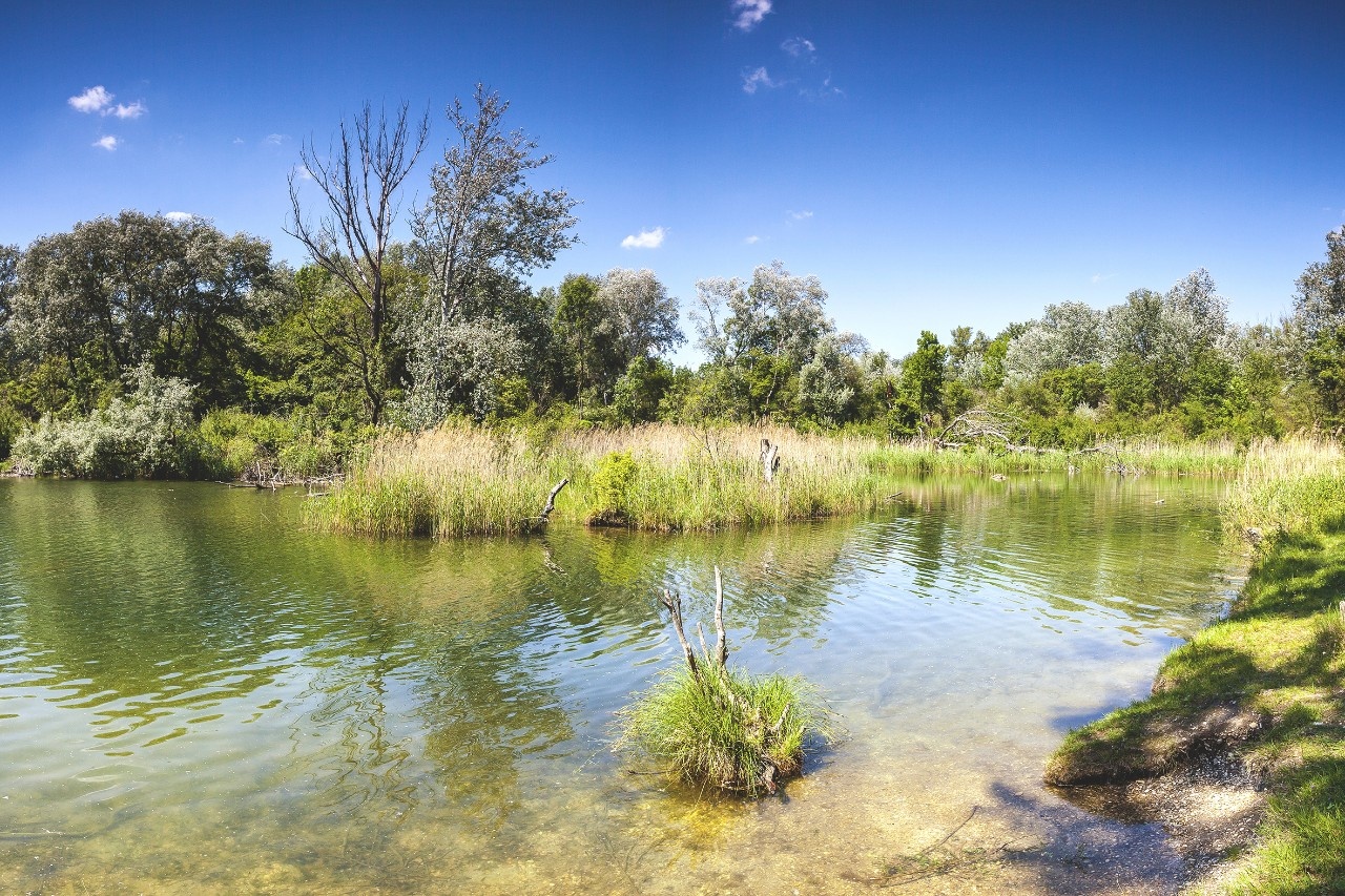 Auf Entdeckungstour durch die Lobau