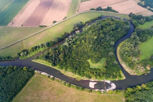 Mehr Mäander für die Thaya