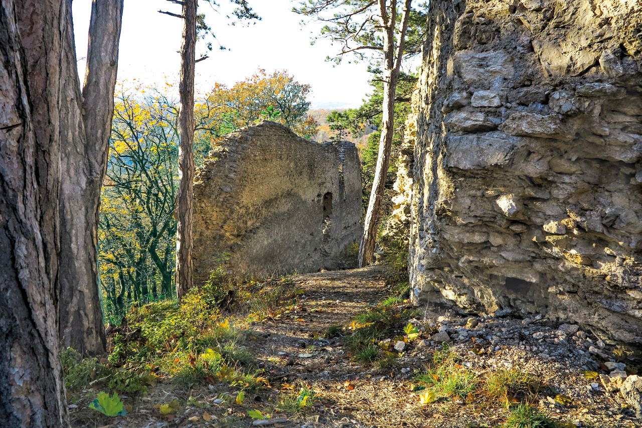 Ruine Kammerstein