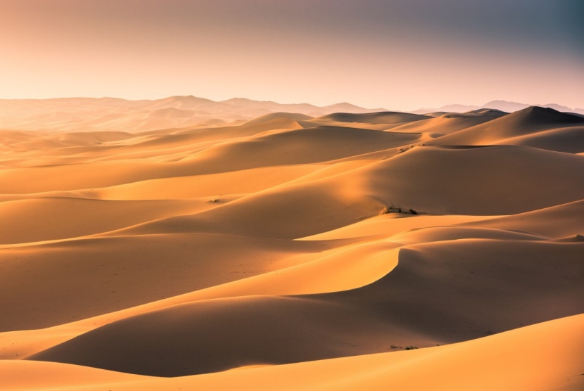 Wüsten: Faszinierende Kargheit und bizarre Landschaften