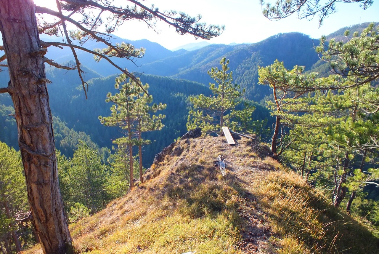 Gutenstein/NÖ: Über Mariahilfberg und Kaisersteig