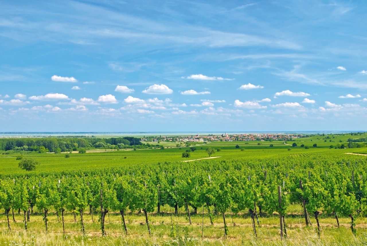 An der Ruster Schwelle