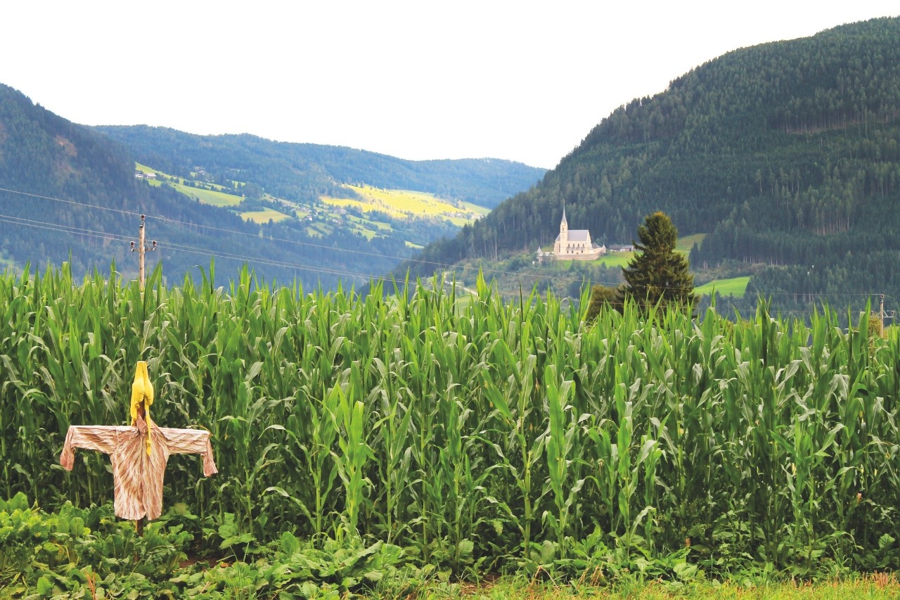 Von Zauberern, Schergen und Werwölfen