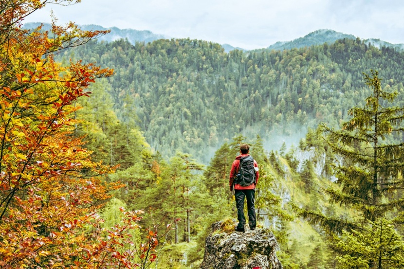 Auf den Spuren des Luchses