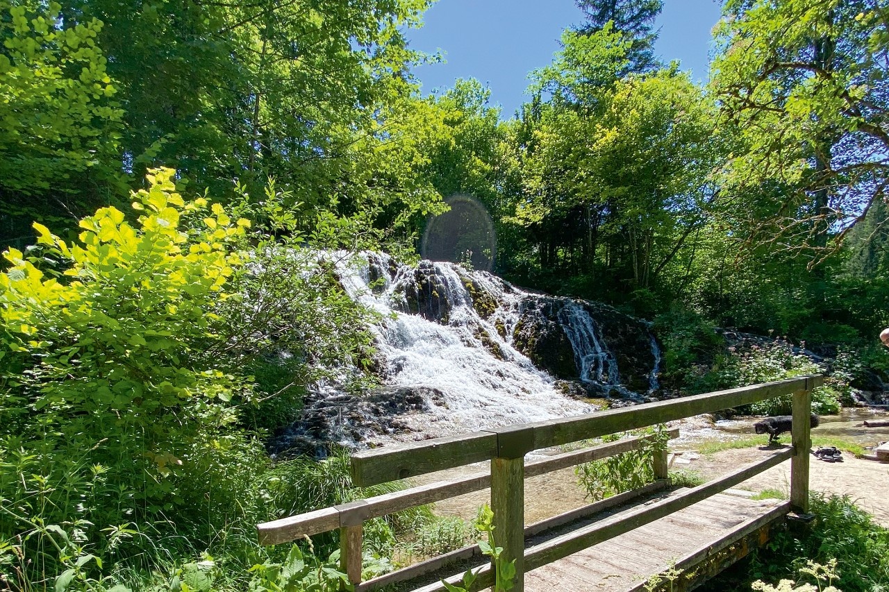 Zwei Schleier im Finsterwald