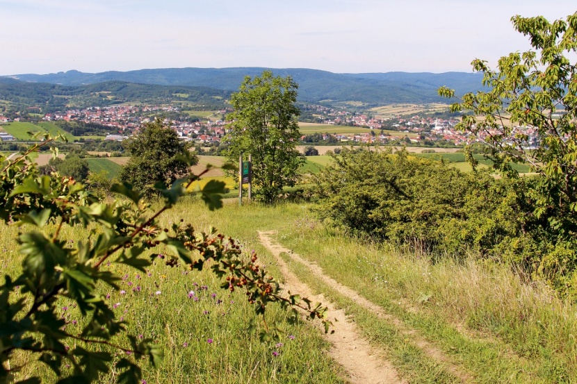 Blumengeflüster und Klostergeschichten