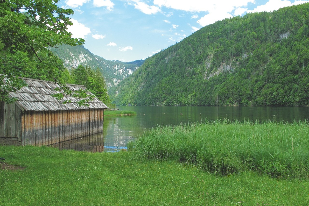 Der Schatz vom Toplitzsee