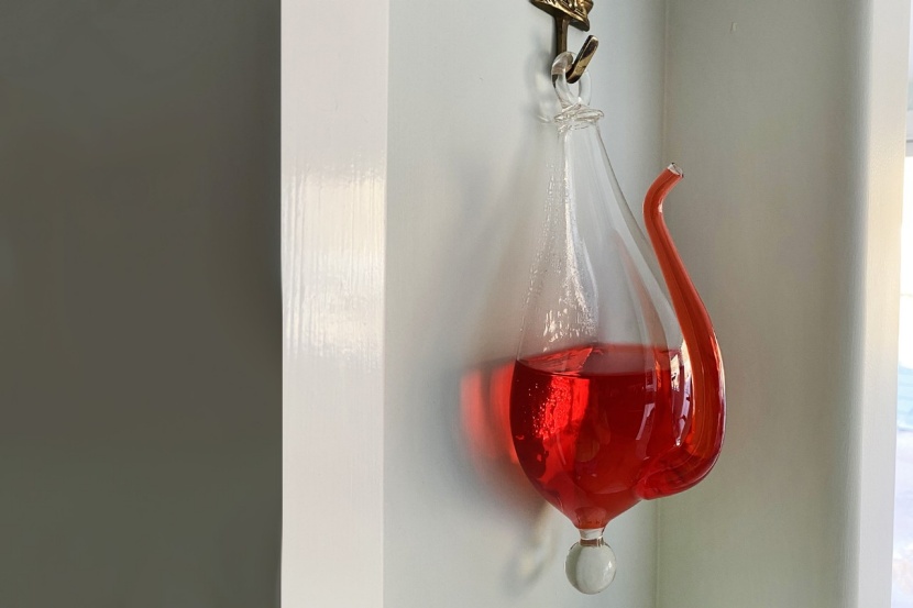 Wie funktioniert das Goethe-Barometer?